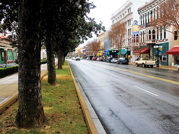 Tree-lined Central Avenue blends Victorian architecture with modern shops, creating timeless beauty that captivates every single visiting generation here.