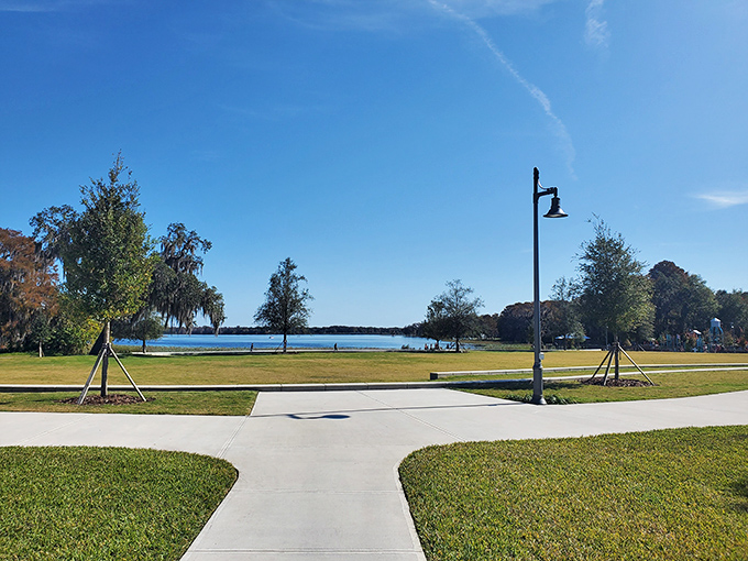 Tree-lined streets lead to the heart of town, where Spanish moss creates natural curtains for peaceful neighborhood strolls.
