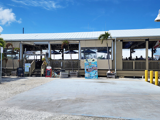 Waterfront dining without pretension! Key Largo Fisheries Backyard Cafe offers the kind of open-air seafood experience that makes northerners consider selling their snow shovels.