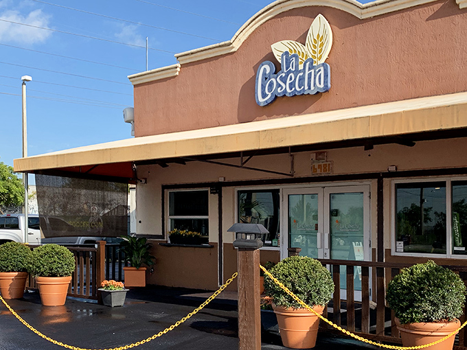 Those wooden railings and potted plants aren't just decoration &ndash; they're the gateway to Argentina's beef traditions in the heart of Florida.