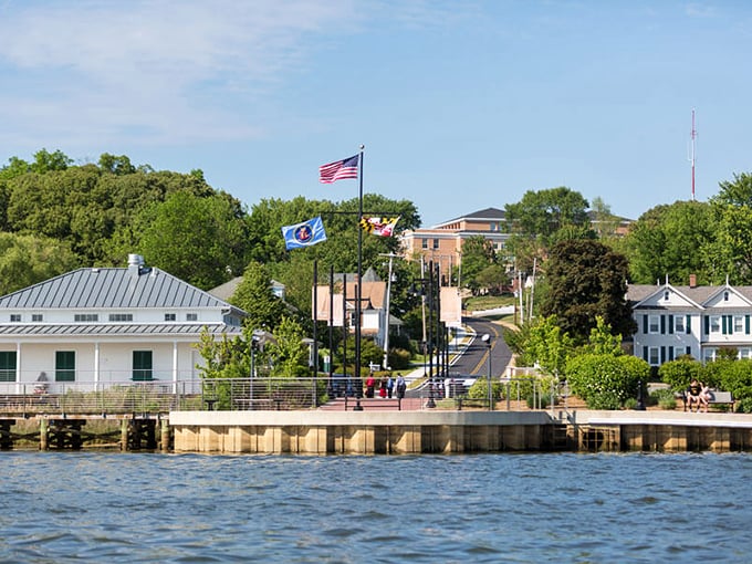 Brick buildings and wide sidewalks invite leisurely exploration of shops where owners remember your name after one visit.