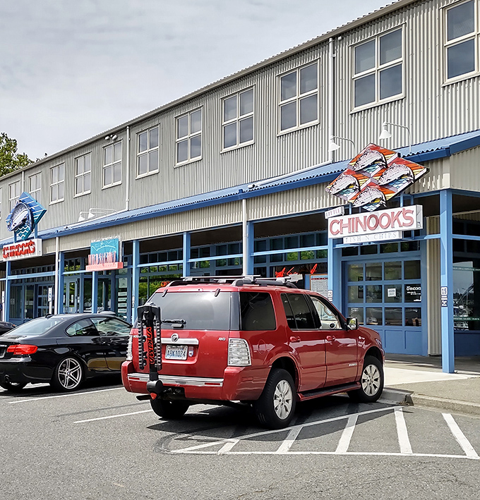 Fishermen's Terminal authenticity shines through where working waterfront meets exceptional seafood dining experiences.