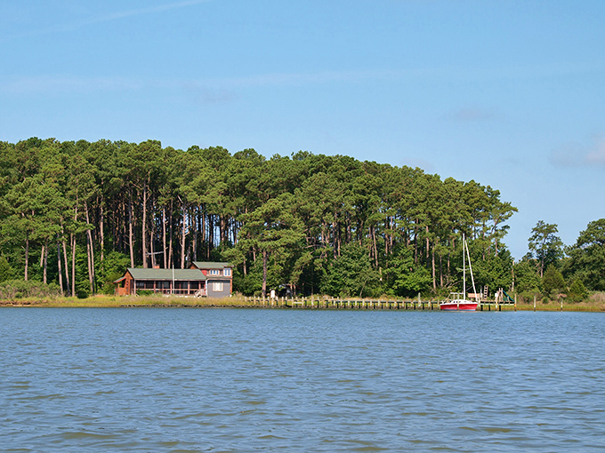 Modern beach houses rise along the water's edge, proving that even new construction can respect the natural beauty around it.