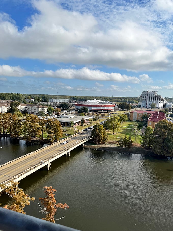 Modern skyline meets natural beauty where the river flows and retirement budgets stretch like taffy.
