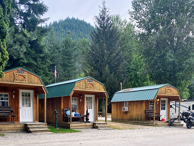 Cozy cabins offer simple living surrounded by nature's free entertainment system and fresh air.