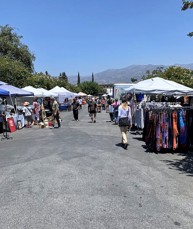 College campus flea markets prove that education and bargain hunting make perfect study partners.