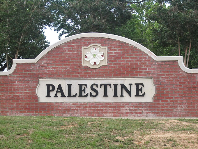 Lakeside tranquility offers the perfect escape - where fishing poles matter more than cell phone signals.