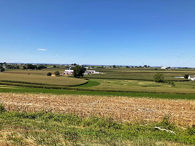 A classic Amish barn in Paradise &ndash; where "built to last" isn't a marketing slogan but a way of life.