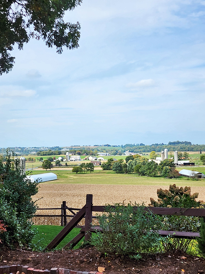 Rolling hills and fertile fields create landscapes that belong in coffee table books about America.