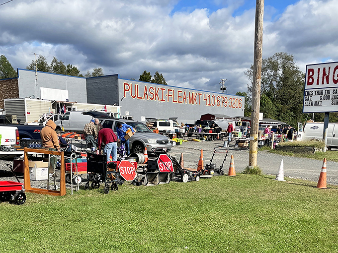 The sprawling outdoor layout gives vendors and shoppers plenty of breathing room to negotiate life's little luxuries.