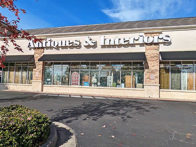 Clean lines and professional presentation make this antique shopping experience feel refreshingly organized.