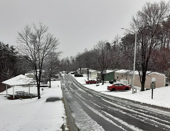 Even winter can't dim the charm of this cozy neighborhood where every season brings beauty.