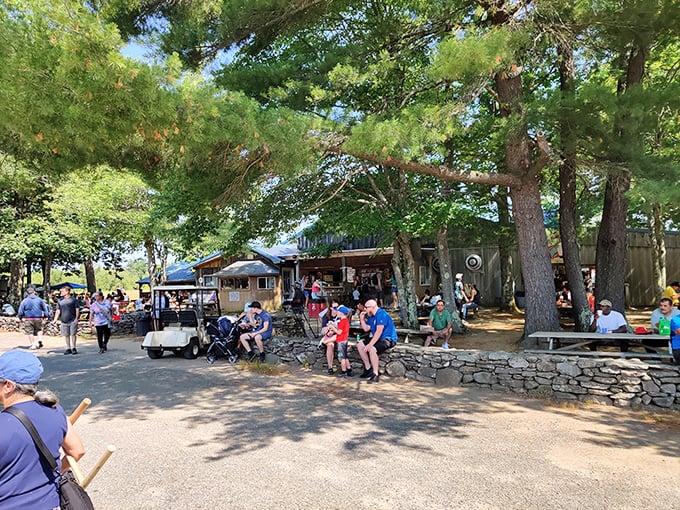 Peaceful barn settings make treasure hunting feel like visiting your favorite aunt's attic sale.