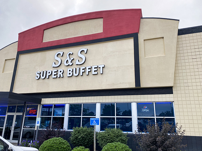 Modern buffet palace where variety reigns supreme and every craving finds its perfect, satisfying match.