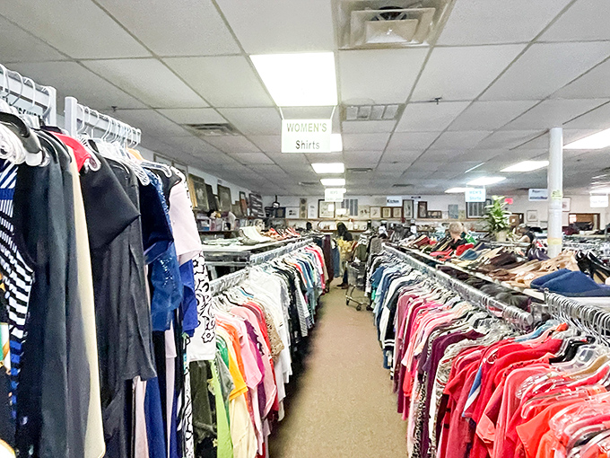 Neat rows of clothing prove that organized thrift shopping beats chaotic rummaging every single time, guaranteed.