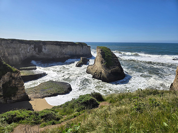 Shark Fin Cove's dramatic rock formations and perfect crescent beach create a postcard-worthy scene few tourists ever find.