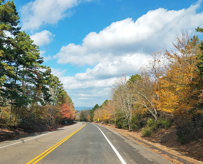 The Talimena Scenic Drive winds through autumn colors that rival New England's famous fall foliage displays.