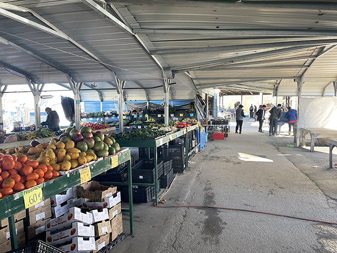 Under this friendly roof, fresh produce and flea market finds create the perfect small-town shopping experience.
