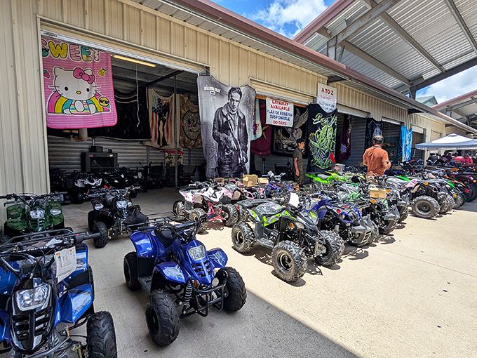 Multiple buildings mean multiple adventures - each section offers completely different treasures and shopping experiences.