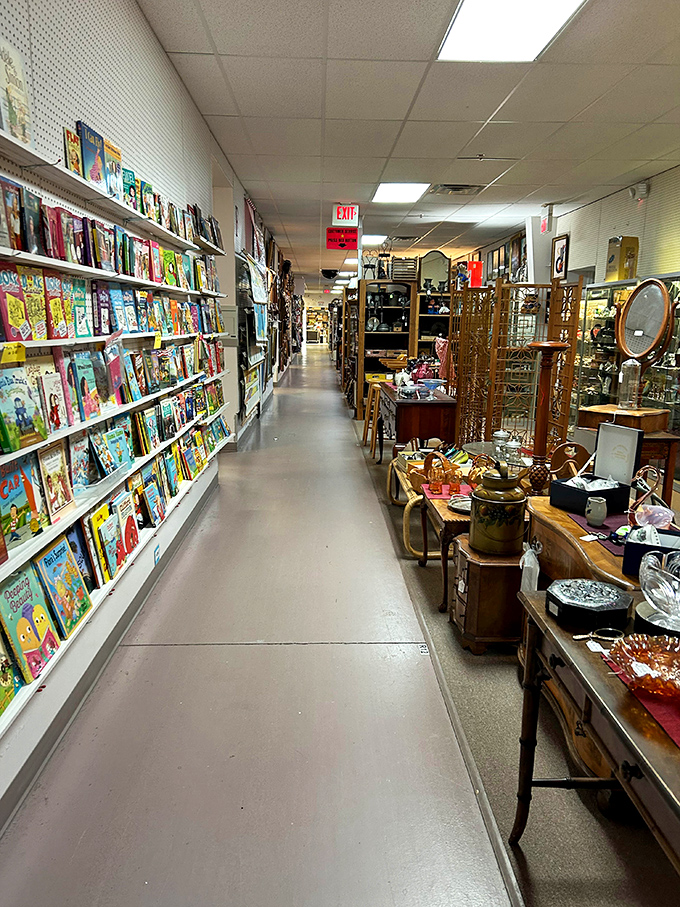 Books and treasures line this aisle at Williamsburg Antique Mall. Each shelf holds stories both in and beyond the pages.