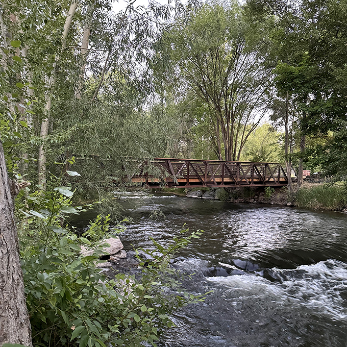 This pedestrian bridge over rushing waters offers both practical crossing and moments of zen contemplation&mdash;nature's therapy at no hourly rate.