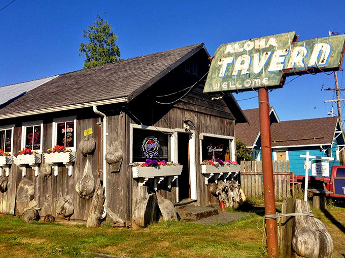 The Aloha Tavern brings a touch of island spirit to the Washington coast, where driftwood decor and weathered charm create the perfect storm of coastal authenticity.
