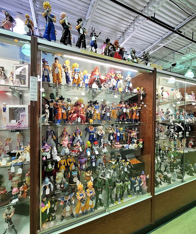 Dragon Ball and anime figurines stand frozen in perpetual battle poses, a glass-encased paradise for collectors and nostalgic adults alike.
