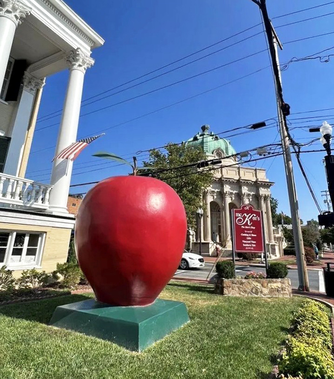 Morning light casts a glow on the apple, standing sentinel beside the historic courthouse like an edible monument.