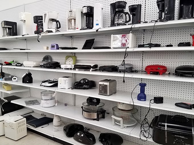 Kitchen appliances stand ready for duty, from coffee makers to slow cookers seeking culinary comebacks.