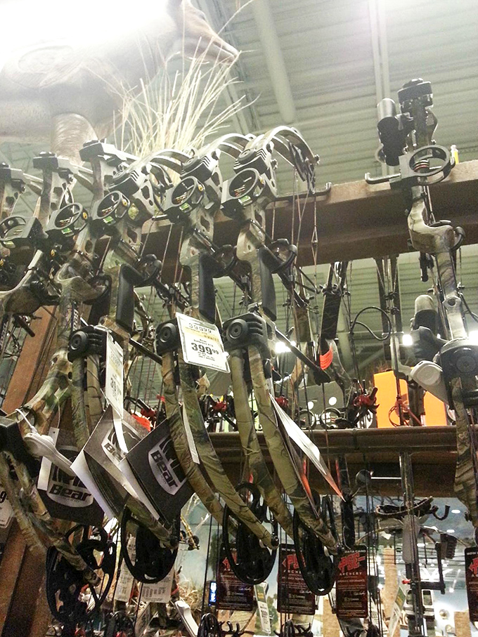 Hunting for bargains takes on a literal meaning with this impressive array of archery equipment.