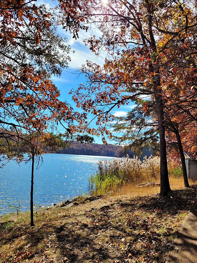 Autumn transforms the lake into a painter's palette, where fiery maples and golden oaks compete for who can create the most Instagram-worthy reflection.