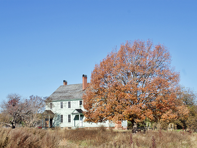 History stands sentinel through changing seasons. This historic structure wears autumn colors like a complementary accessory, no Instagram filter needed.