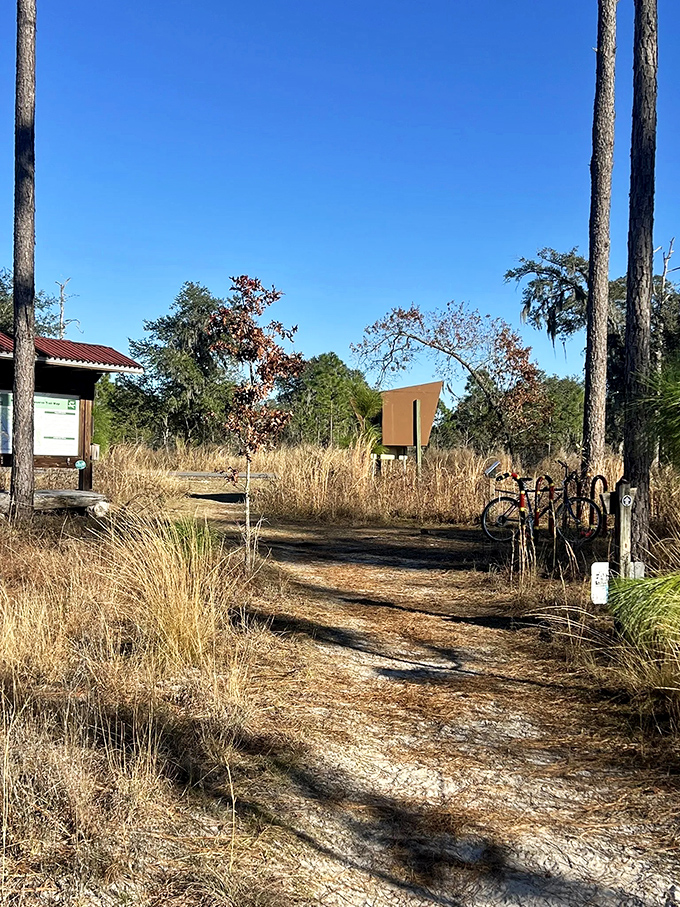 Nature's welcome center needs no brochures. The informational signs are just a formality&mdash;the real story is written across the landscape.