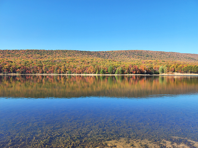 Fall foliage reflected in Lake Habeeb creates a double dose of autumn glory. Nature's mirror effect makes you wonder which view is more spectacular.