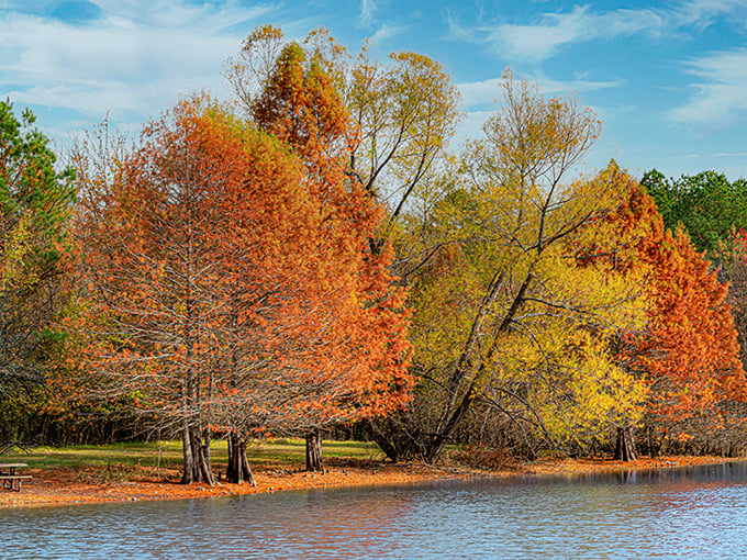Fall foliage that looks like Mother Nature went wild with her most vibrant paintbox &ndash; autumn in Arkansas is worth the wait.