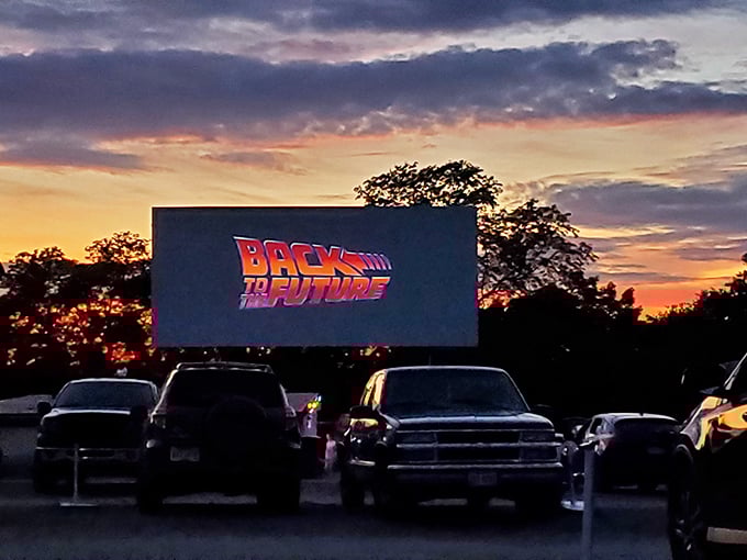 Great Scott! Back to the Future never looked so good, with that iconic logo framed by a sunset worthy of Doc Brown's admiration.