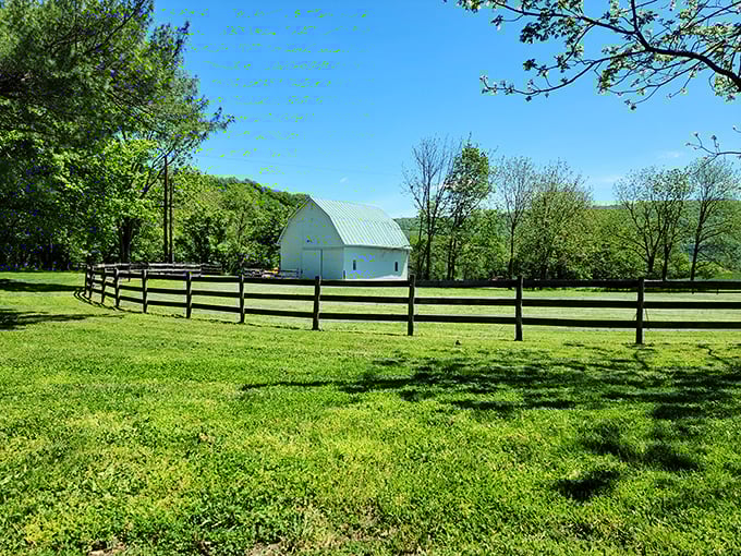 That white barn isn't just picturesque&mdash;it's practically auditioning for a country music video or your next family Christmas card.