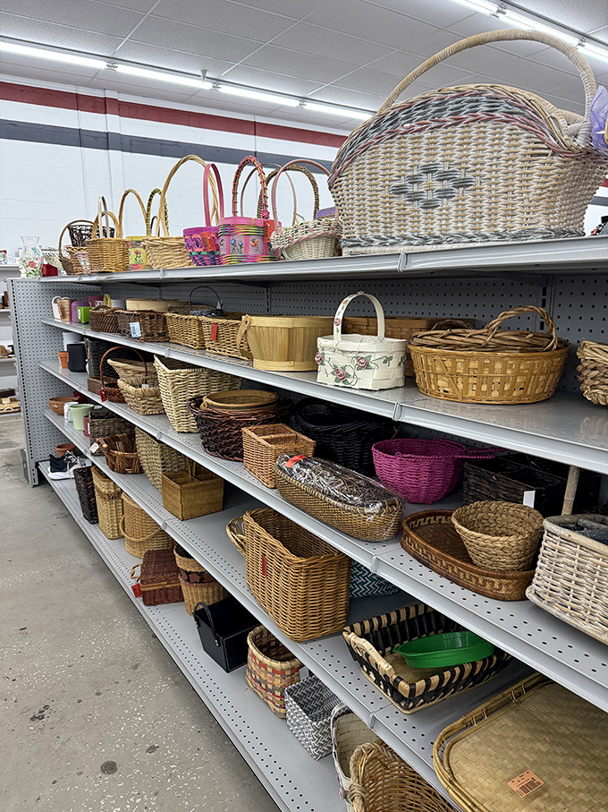 Basket paradise! From picnic-ready to storage-savvy, these woven wonders are the unsung heroes of home organization everywhere.
