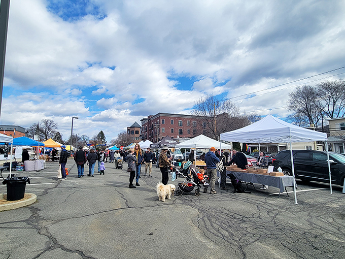 The Beacon Farmers Market transforms parking lots into community gathering spaces where dogs, strollers, and shopping bags create weekend choreography.