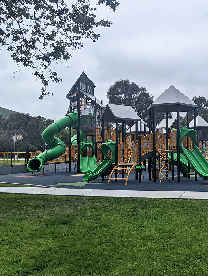 Beattie Park's playground equipment offers grandparent-approved adventures for the younger set&mdash;slides that thrill without terrifying the insurance adjuster.