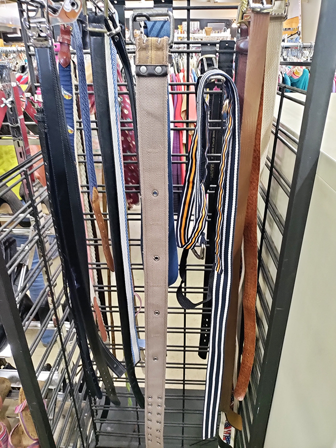 Belt bonanza! From classic leather to funky patterns, these waist-cinchers have held up pants through countless Florida summers.