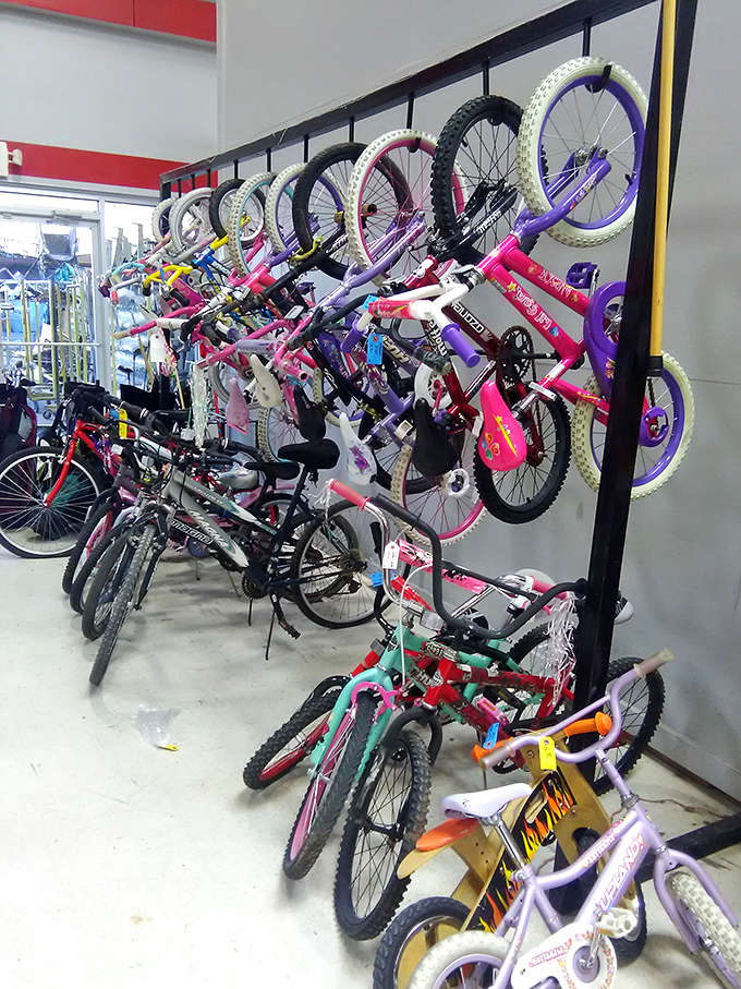 A kaleidoscope of bicycles awaits new riders. From training wheels to mountain trails, these previously-loved wheels are ready for second chances and fresh adventures.