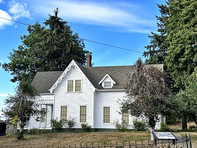 The Bigelow House Museum captures Victorian charm in pristine white clapboard, standing as a reminder that historic preservation doesn't have to look like your grandmother's attic.