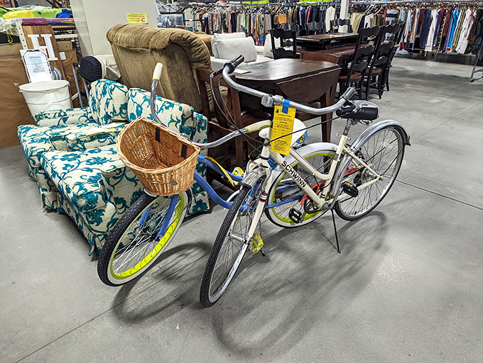 Beach cruisers and pattern-perfect couches&mdash;the unexpected pairings that make thrifting an adventure rather than just shopping.