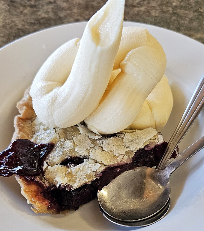 Blueberry pie à la mode – where warm fruit filling meets cold vanilla ice cream in a temperature tango that makes taste buds dance with joy.