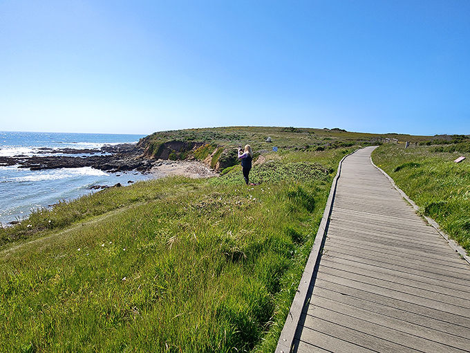 The Bluff Trail boardwalk invites you to wander along Cambria's coastline, where every step offers another postcard-worthy view.