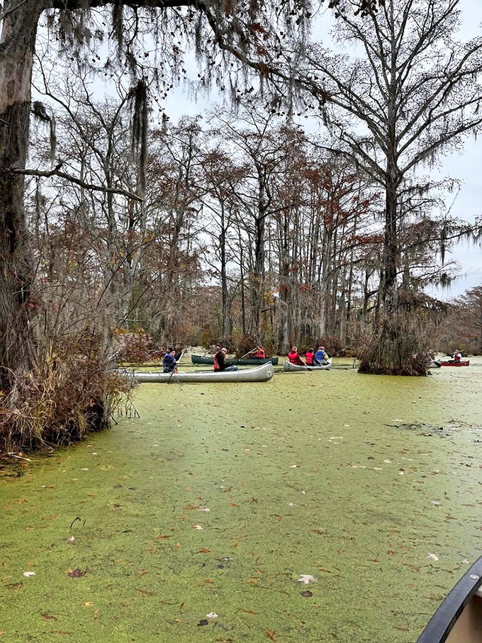 Paddling through duckweed that looks like nature's green carpet &ndash; social distancing was cool here long before it was mandatory.