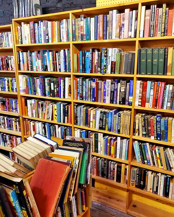 Floor-to-ceiling bookshelves create a literary labyrinth where bibliophiles can lose themselves for hours among forgotten classics and hidden gems.