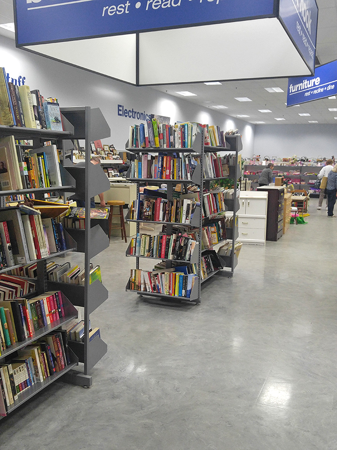 The literary corner: where bestsellers retire, cookbooks reveal their sauce-stained wisdom, and forgotten classics wait patiently for their renaissance moment.