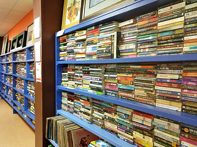 Enough reading material to survive both a power outage and retirement, organized in blue shelves that stretch toward thrifting nirvana.